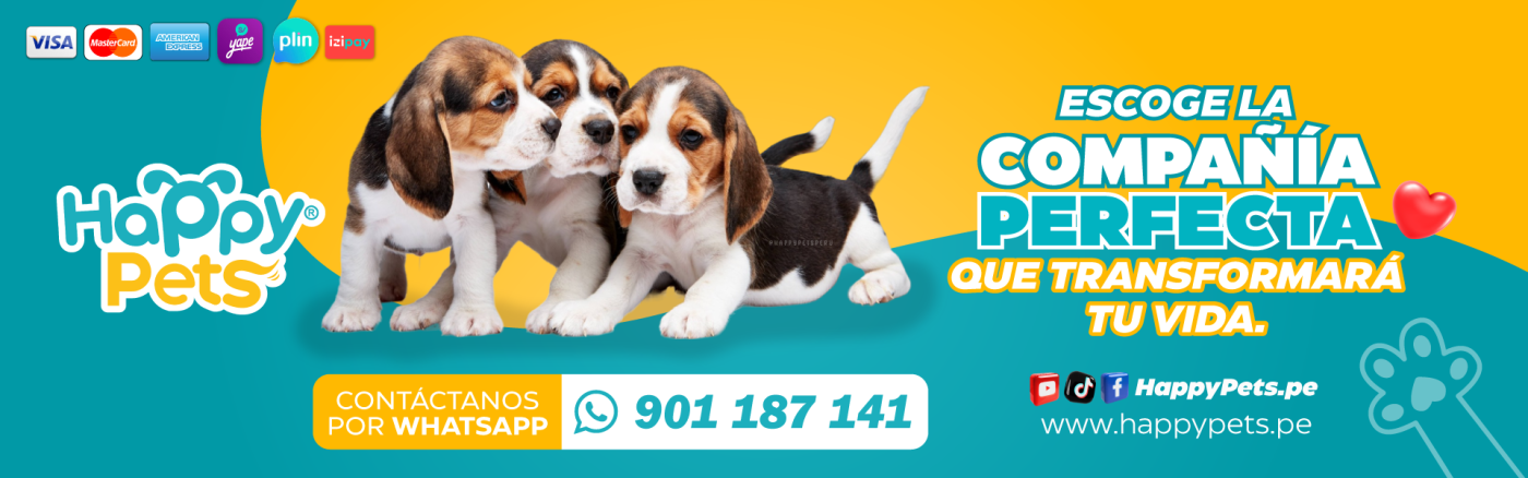 Happy Pets Oficial - Cachorros de Calidad en Diversas Razas